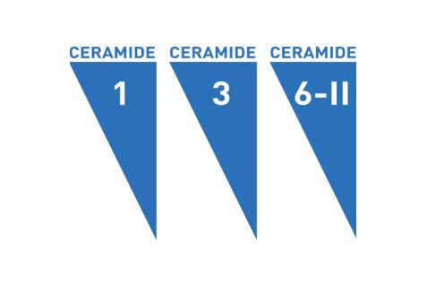 Skin Barrier Science | L'Oréal Dermatological Beauty
