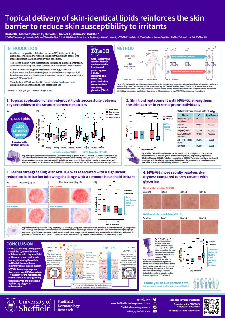 Topical delivery of skin-identical lipids reinforces the skin barrier ...